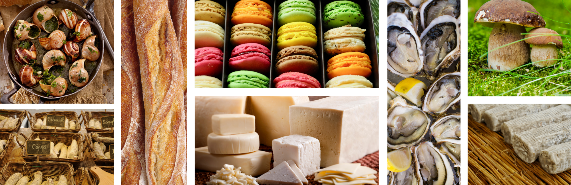 Enjoy the gastronomy of France during your holiday