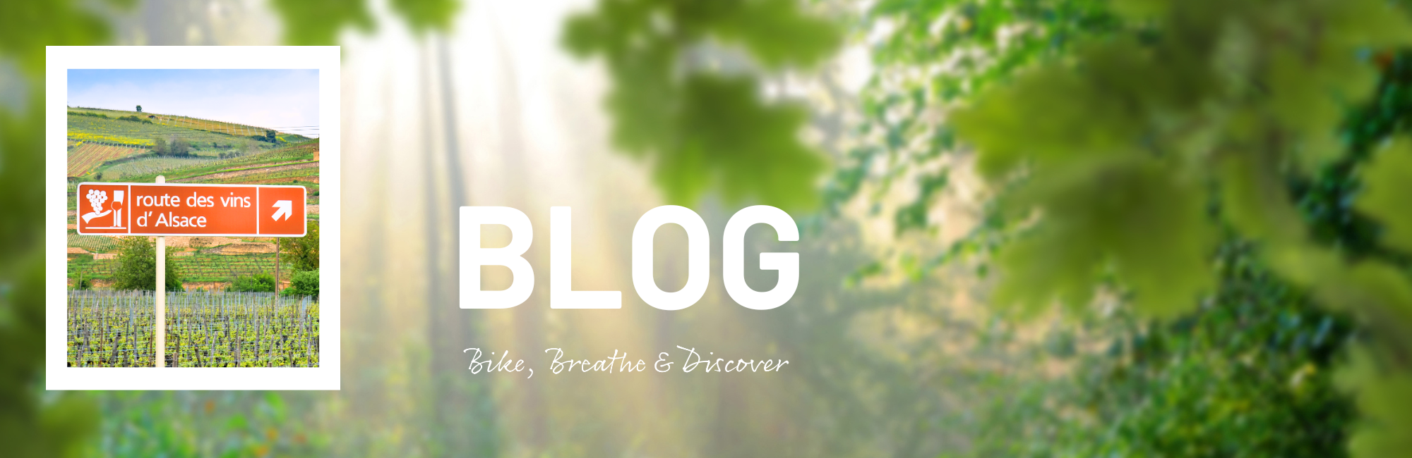 Easy cycling in France with French Bike Tours